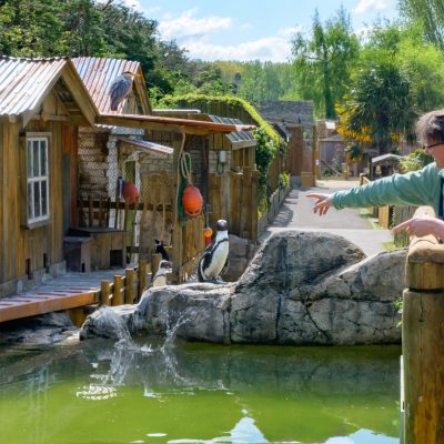 Birdland Park & Gardens in Bourton-on-the-Water, Gloucestershire