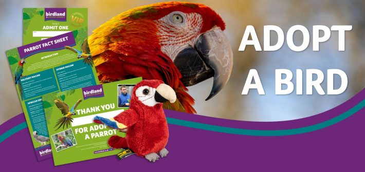 Birdland Park & Gardens in Bourton-on-the-Water, Gloucestershire